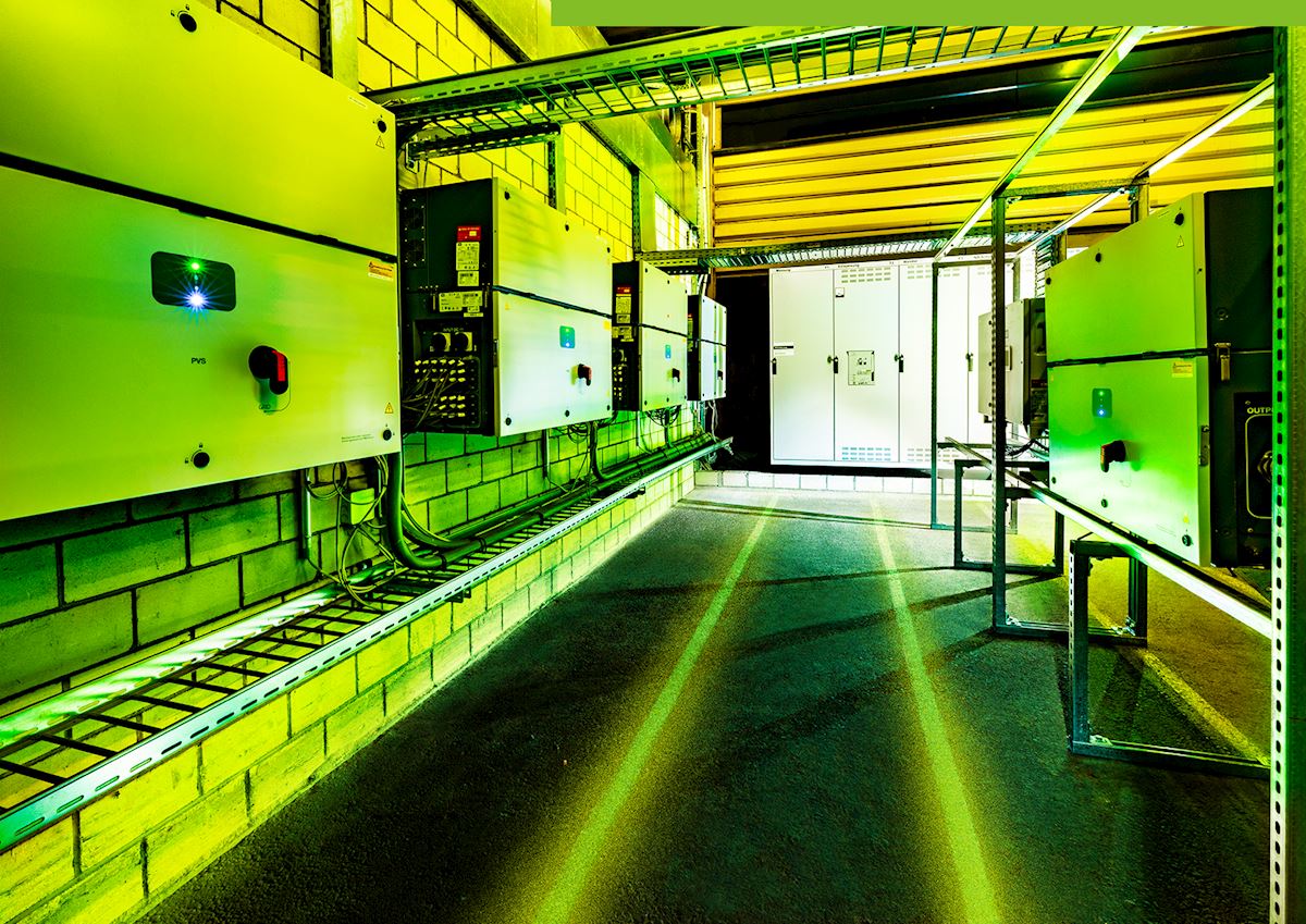 NIN 2025 NIBT, Print